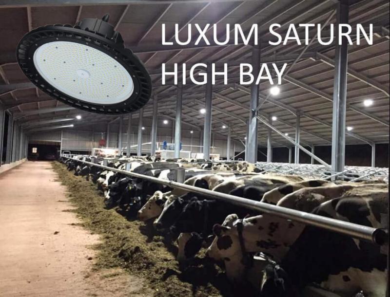 State of the art LED Lighting Systems - Cowcare Systems